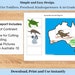 Australia Animals Report, Geography Printable for Toddlers and Pre-k ...