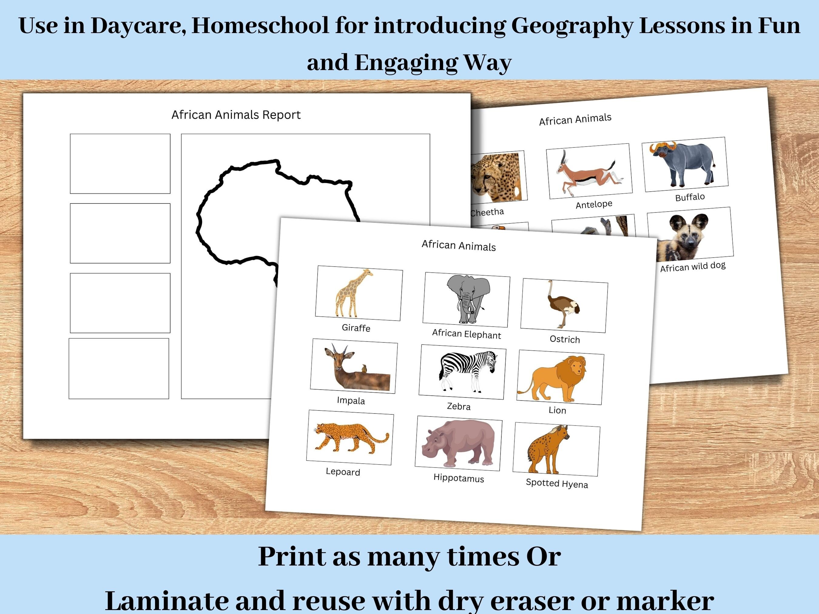 Africa Animals Report, Geography Printable for Toddlers and Pre-k ...