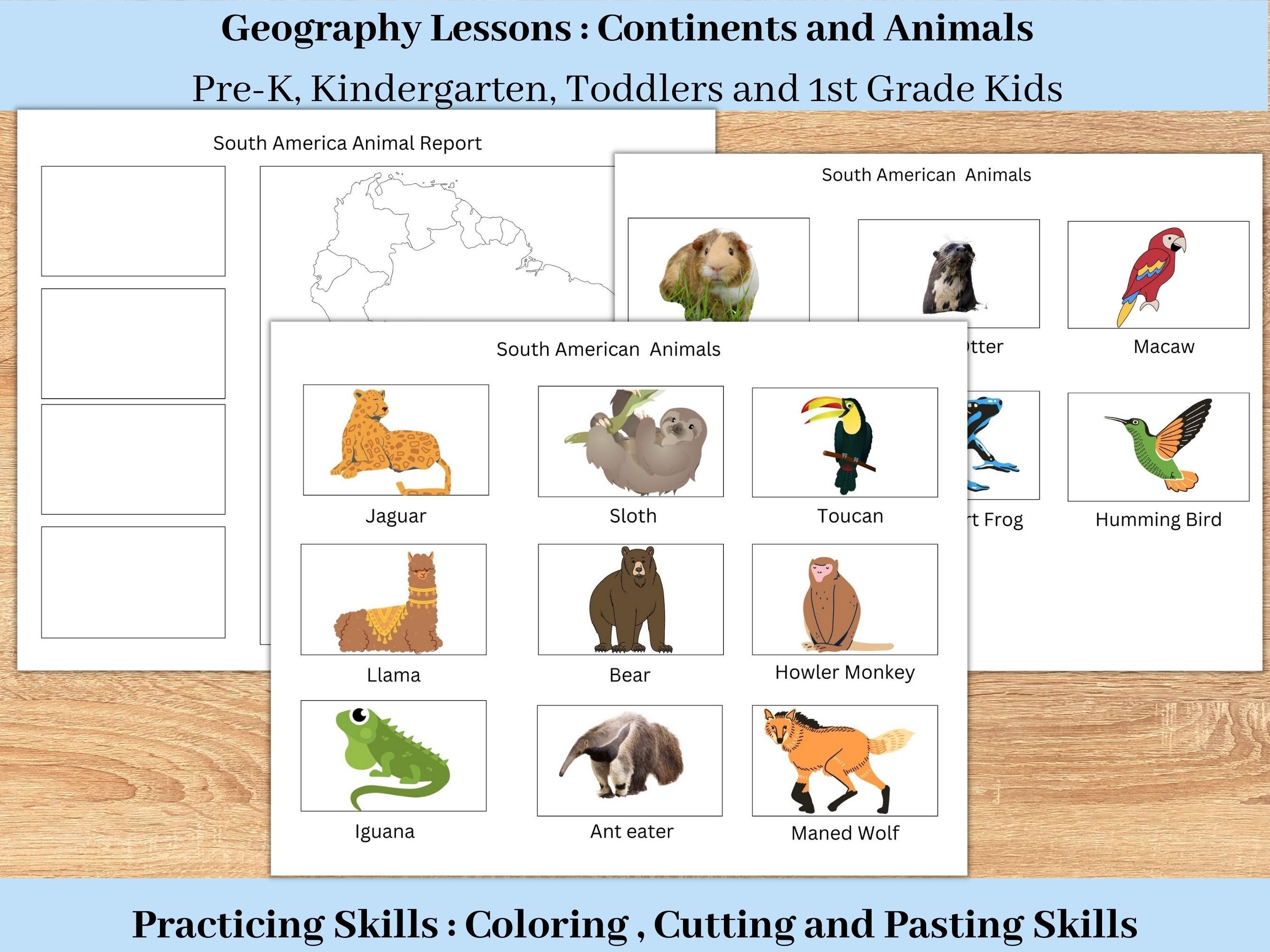 South America Animal Report, Geography Printable for Toddlers Pre-k ...