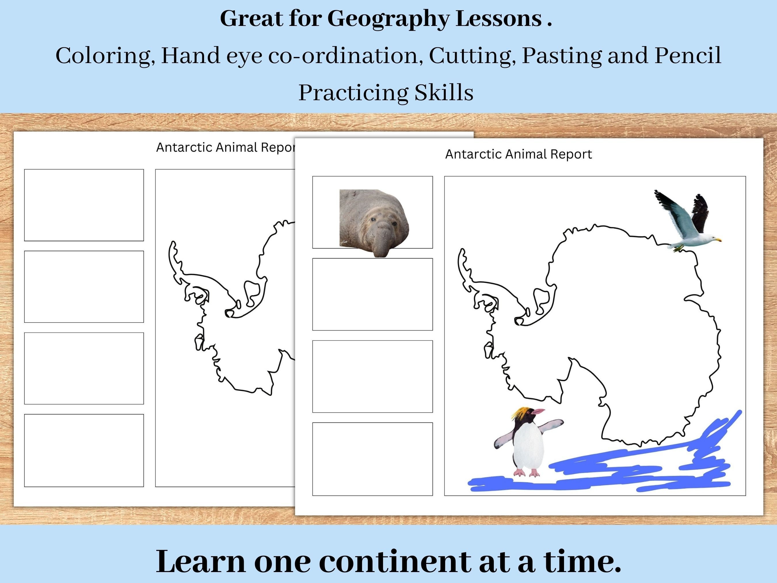Antarctic Animal Report, Geography Printable for Toddlers Pre-k ...