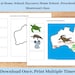 Australia Animals Report, Geography Printable for Toddlers and Pre-k ...