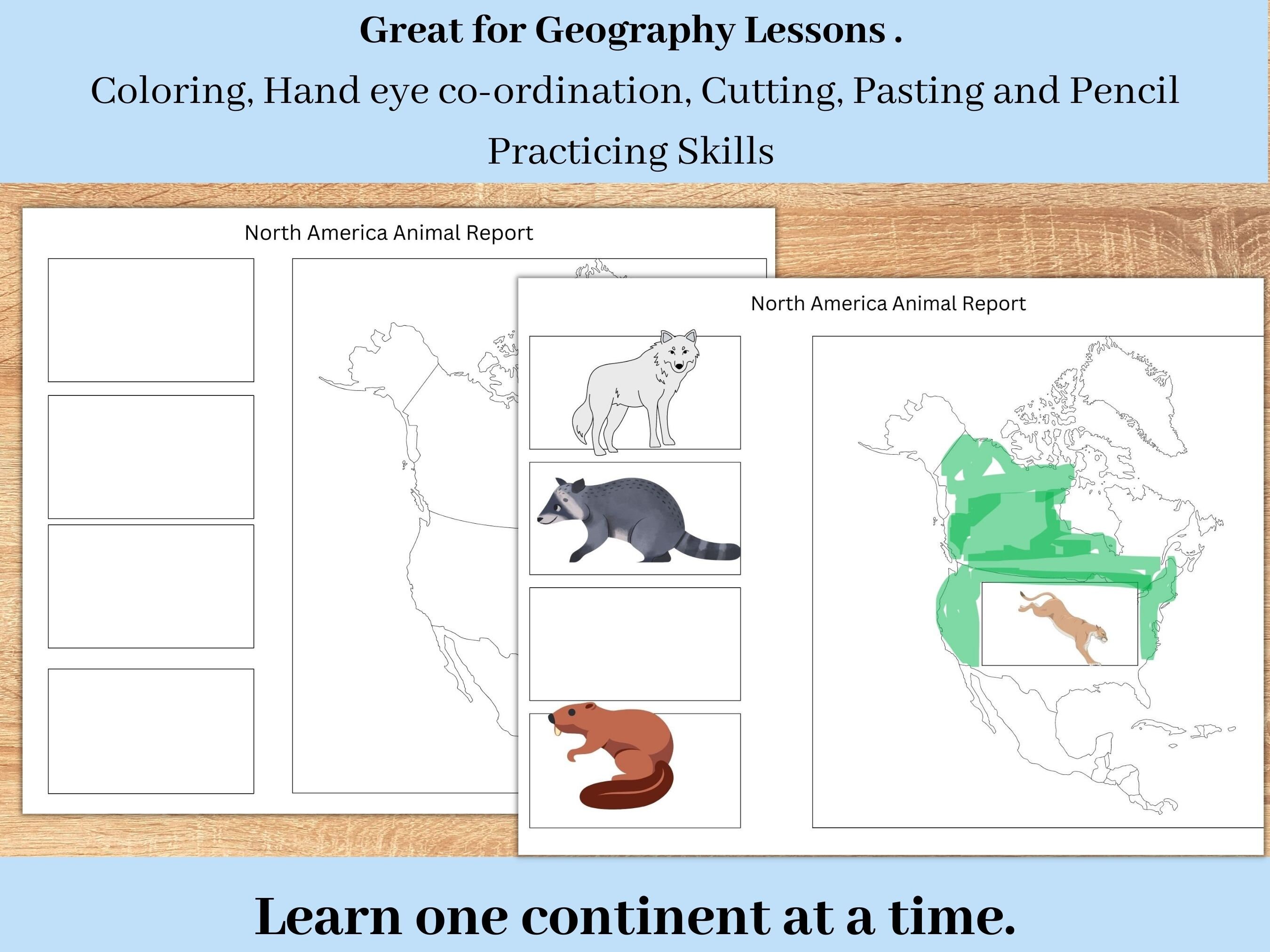 North America Animal Report, Geography Printable for Toddlers Pre-k ...