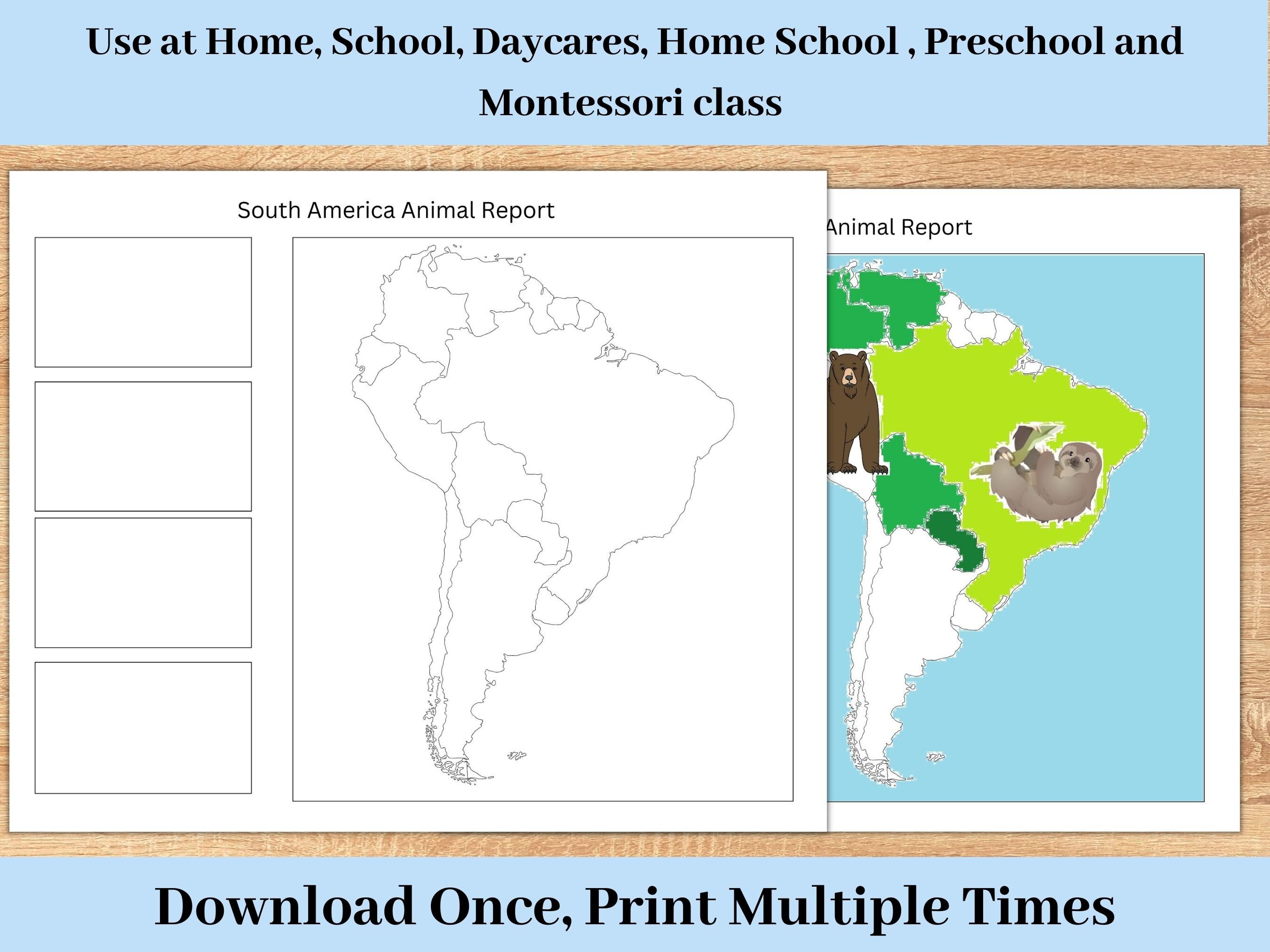 South America Animal Report, Geography Printable for Toddlers Pre-k ...