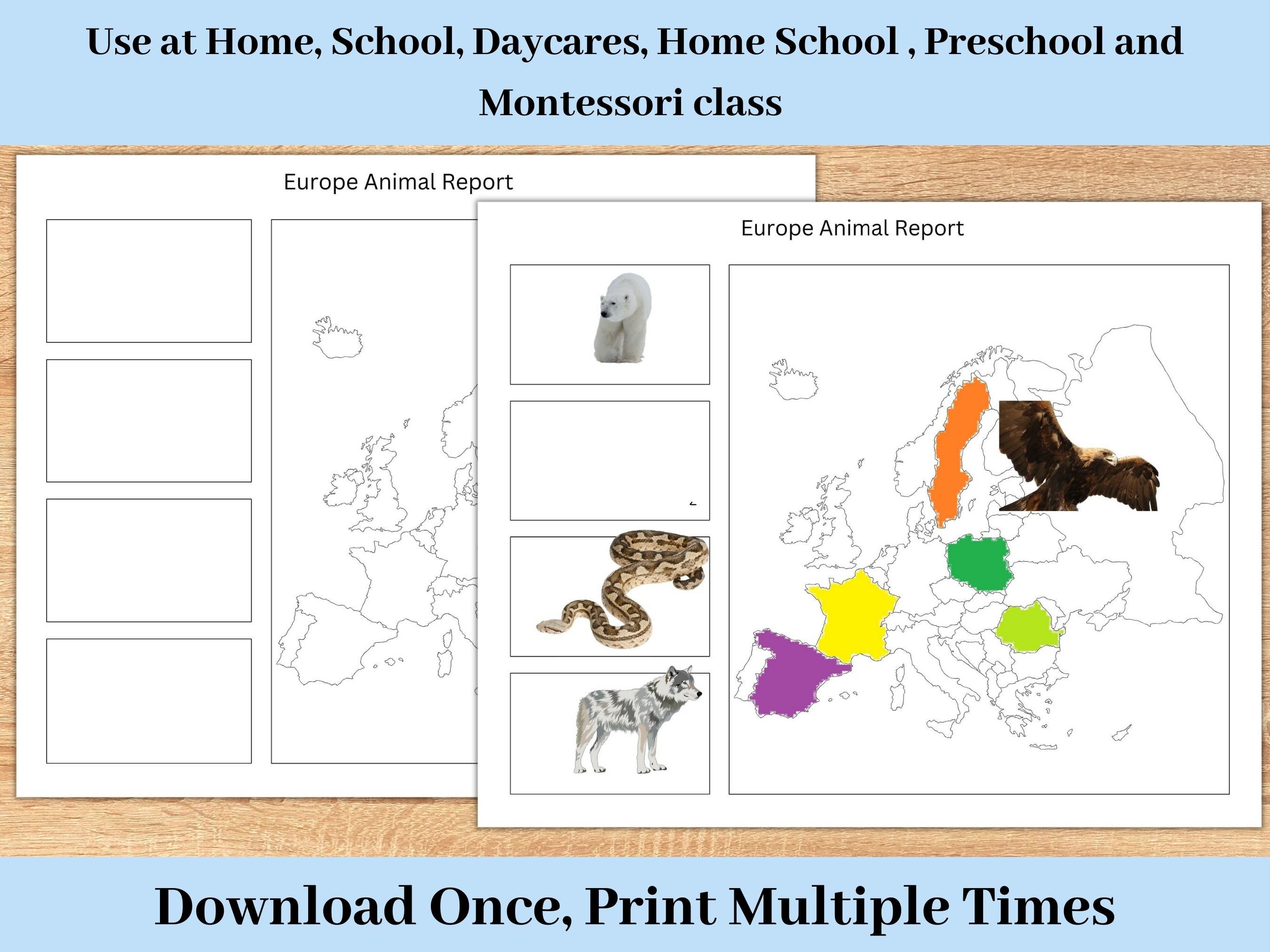 Europe Animal Report, Geography Printable for Toddlers Pre-k, Geography ...