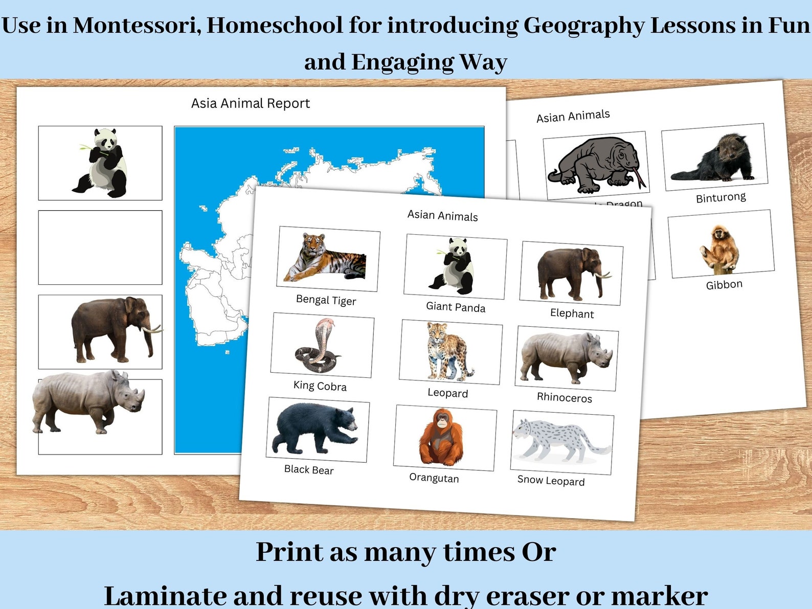 Asia Animal Report, Geography Printable for Toddlers Pre-k, Geography ...