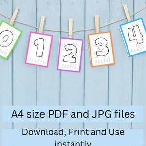 Colorful 1-10 Numbers Flashcards, Digital Download, Numbers Flashcards ...