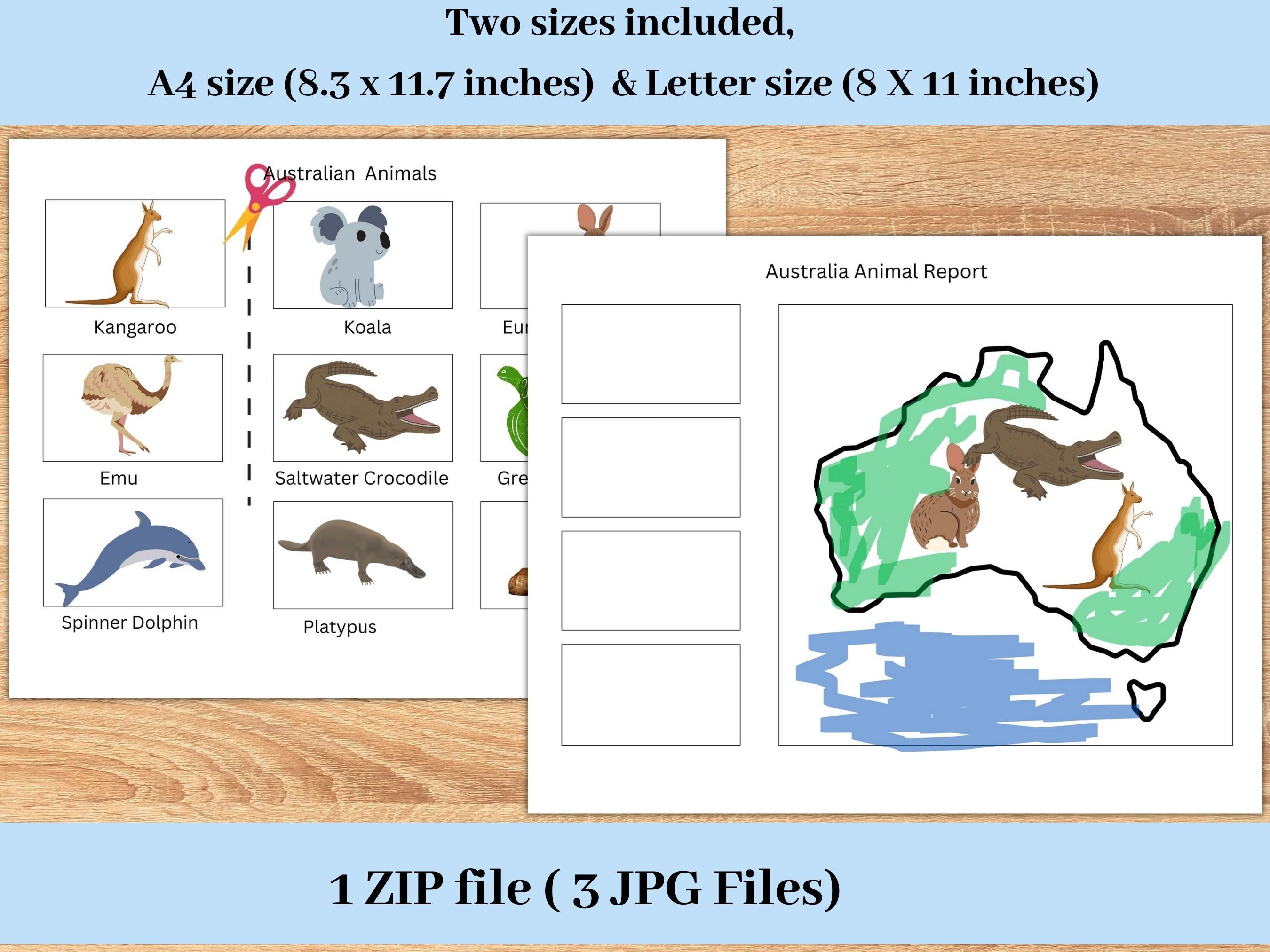 Australia Animals Report, Geography Printable for Toddlers and Pre-k ...
