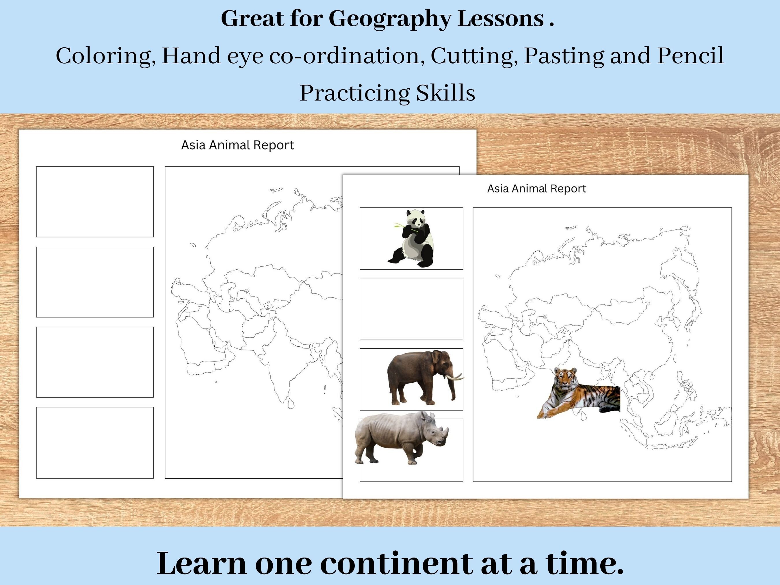 Asia Animal Report, Geography Printable for Toddlers Pre-k, Geography ...