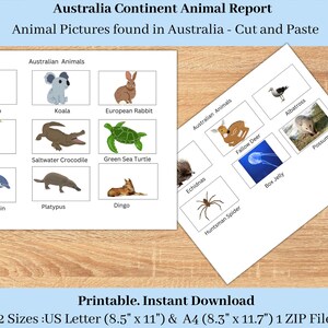 Australia Animals Report, Geography Printable for Toddlers and Pre-k ...
