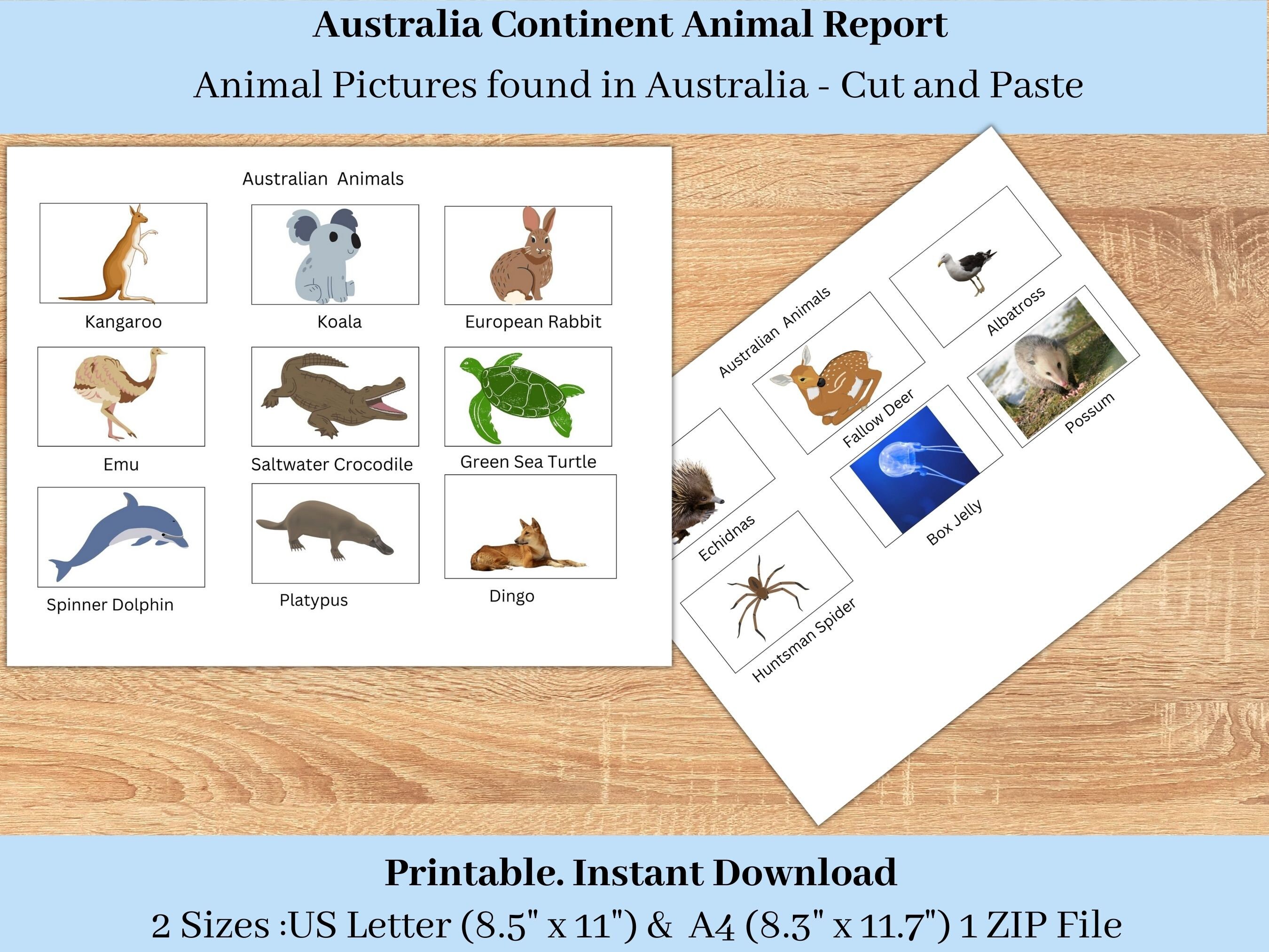 Australia Animals Report, Geography Printable for Toddlers and Pre-k ...