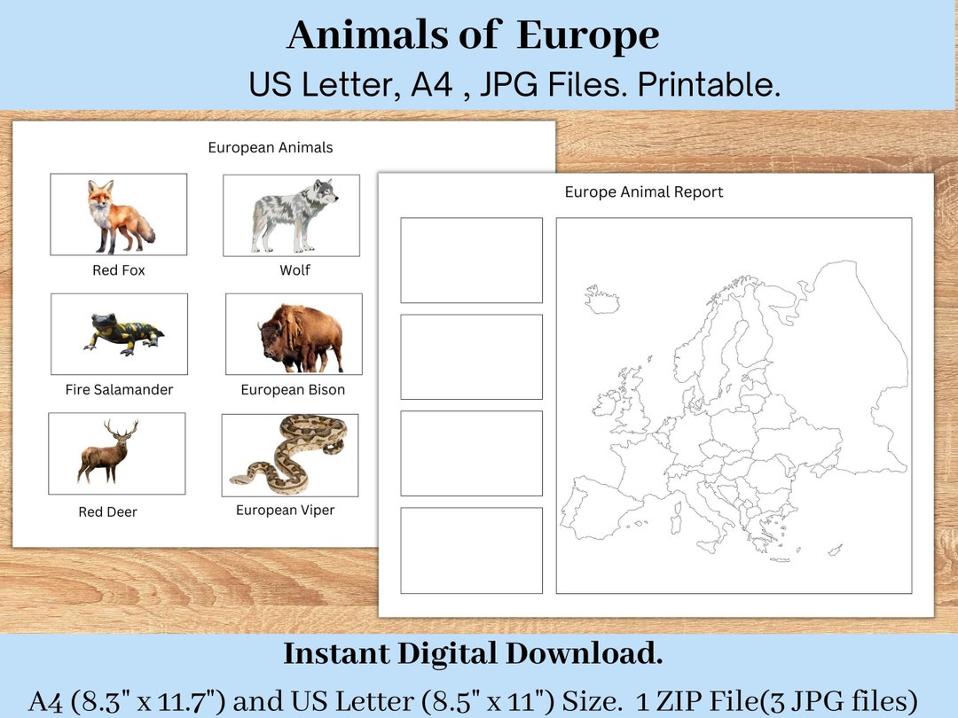Europe Animal Report, Geography Printable for Toddlers Pre-k, Geography ...
