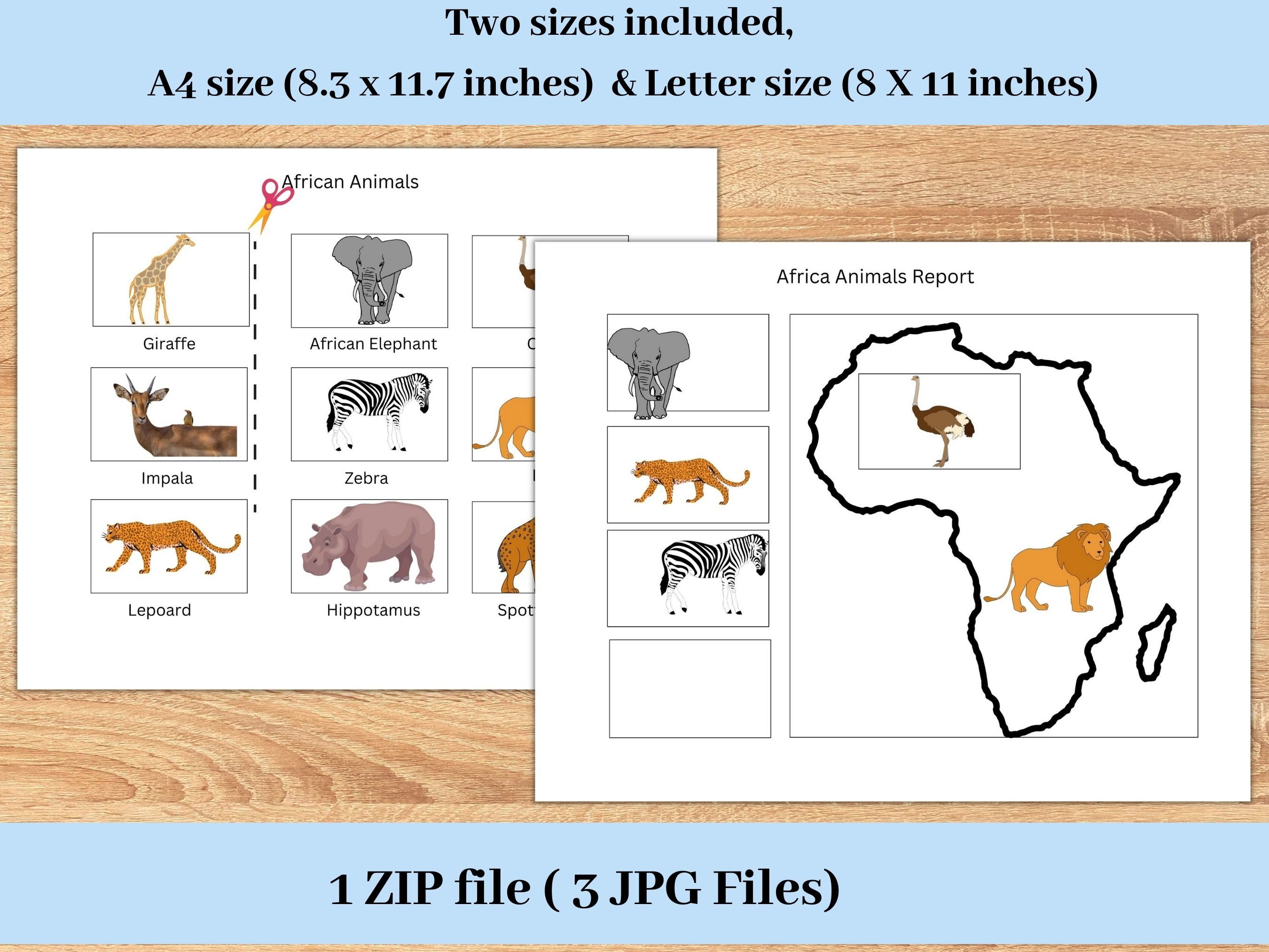 Africa Animals Report, Geography Printable for Toddlers and Pre-k ...