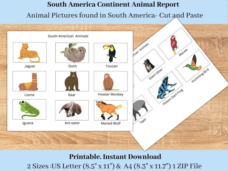 South America Animal Report, Geography Printable for Toddlers Pre-k ...