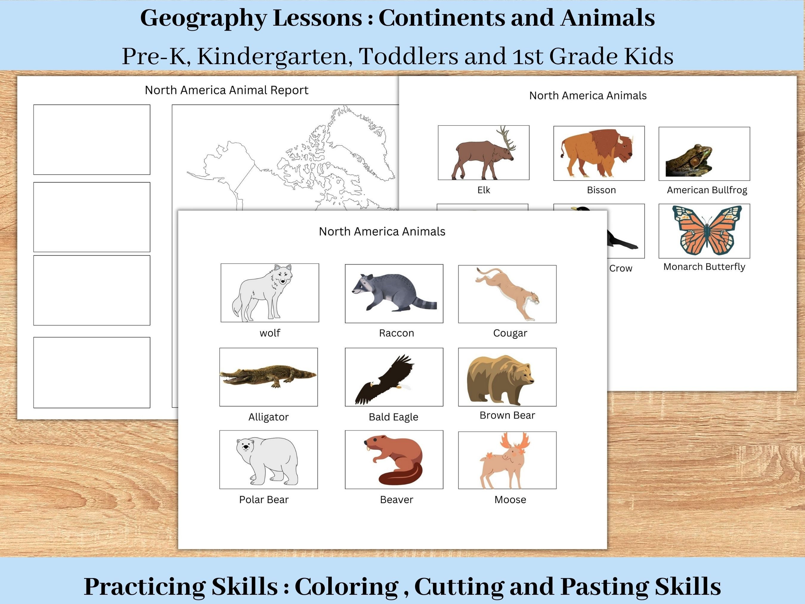 North America Animal Report, Geography Printable for Toddlers Pre-k ...