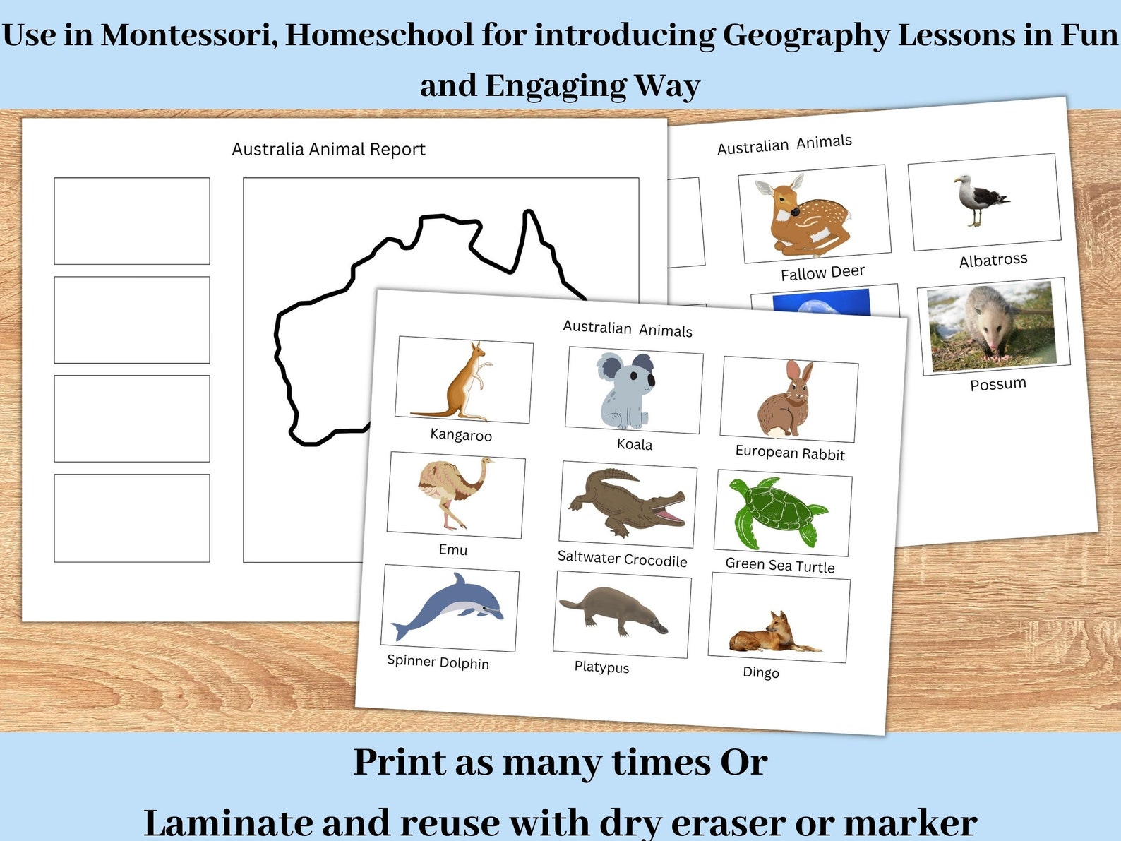 Australia Animals Report, Geography Printable for Toddlers and Pre-k ...