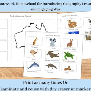 Australia Animals Report, Geography Printable for Toddlers and Pre-k ...