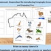 Australia Animals Report, Geography Printable for Toddlers and Pre-k ...