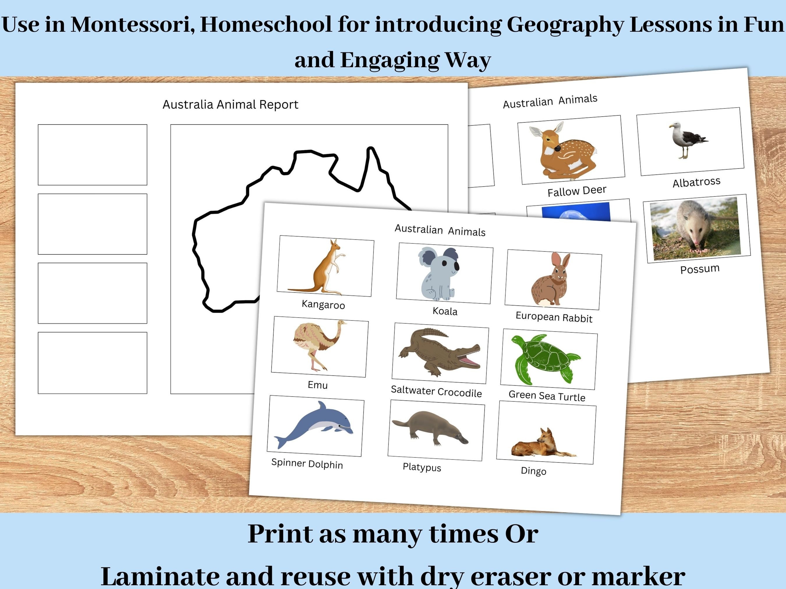 Australia Animals Report, Geography Printable for Toddlers and Pre-k ...