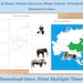 Asia Animal Report, Geography Printable for Toddlers Pre-k, Geography ...