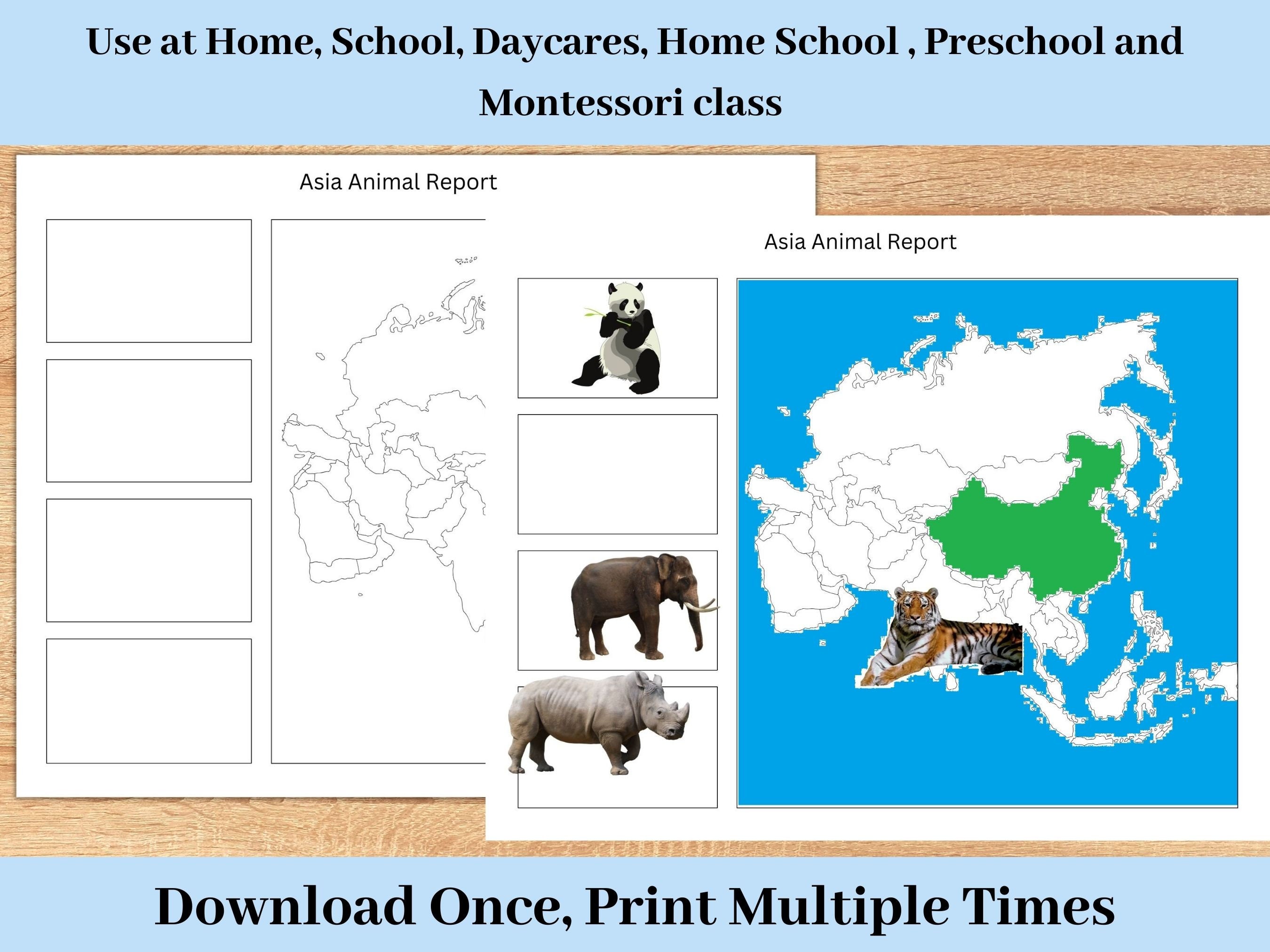 Asia Animal Report, Geography Printable for Toddlers Pre-k, Geography ...