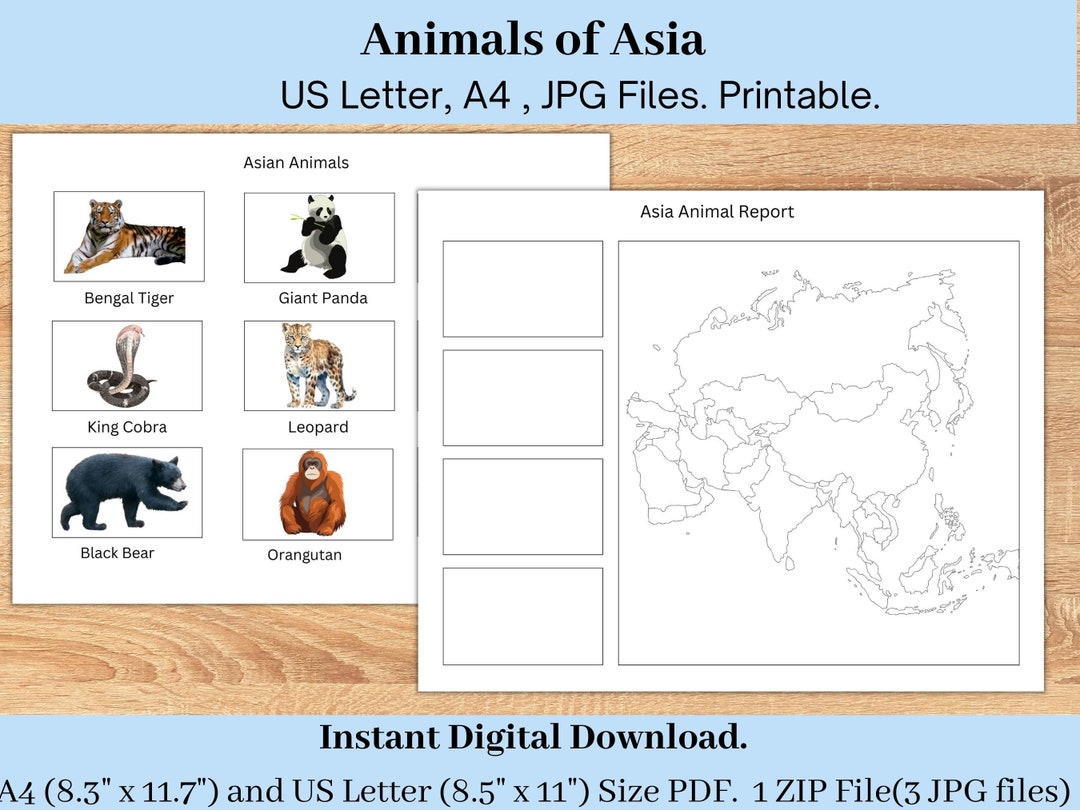 Asia Animal Report, Geography Printable for Toddlers Pre-k, Geography ...