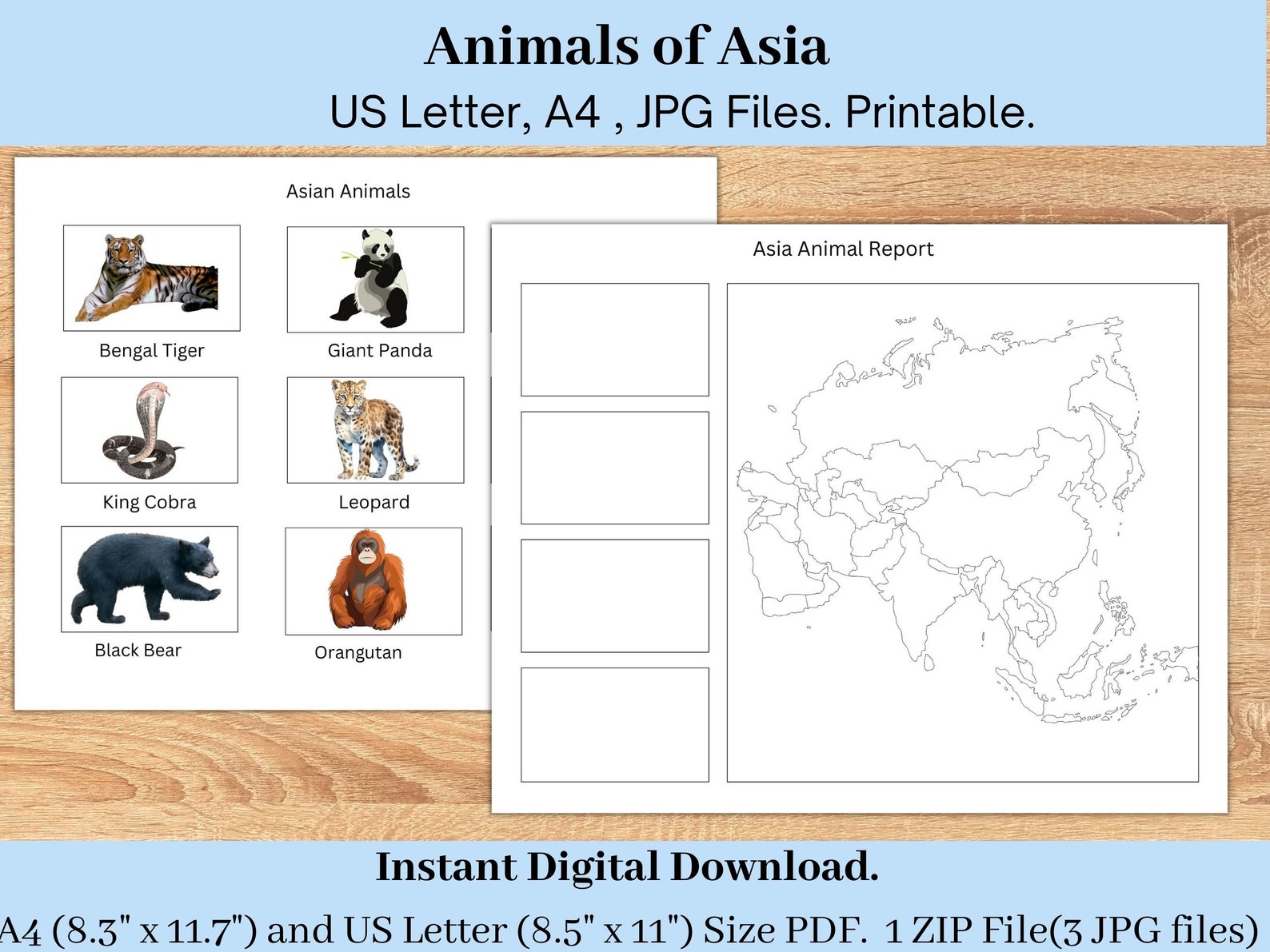 Asia Animal Report, Geography Printable for Toddlers Pre-k, Geography ...