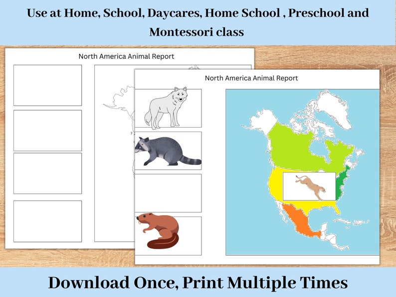 North America Animal Report, Geography Printable for Toddlers Pre-k ...