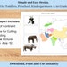 Asia Animal Report, Geography Printable for Toddlers Pre-k, Geography ...