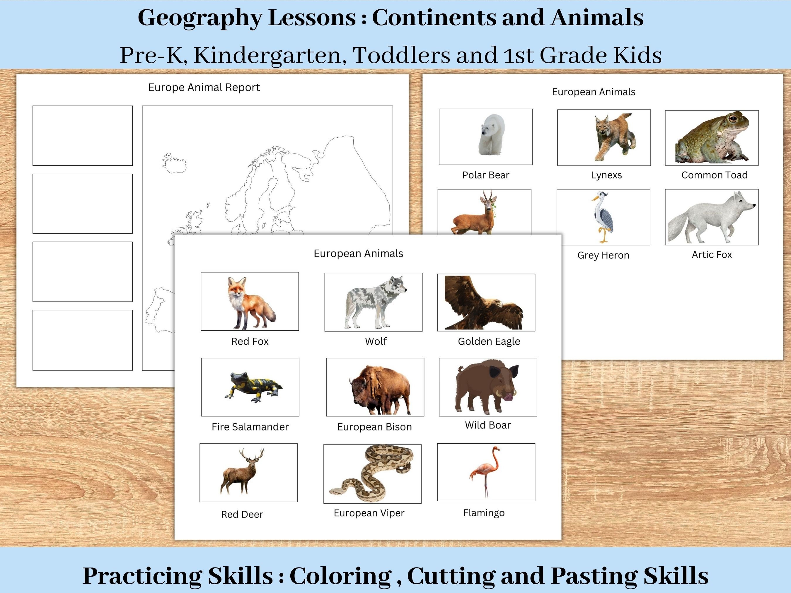 Europe Animal Report, Geography Printable for Toddlers Pre-k, Geography ...