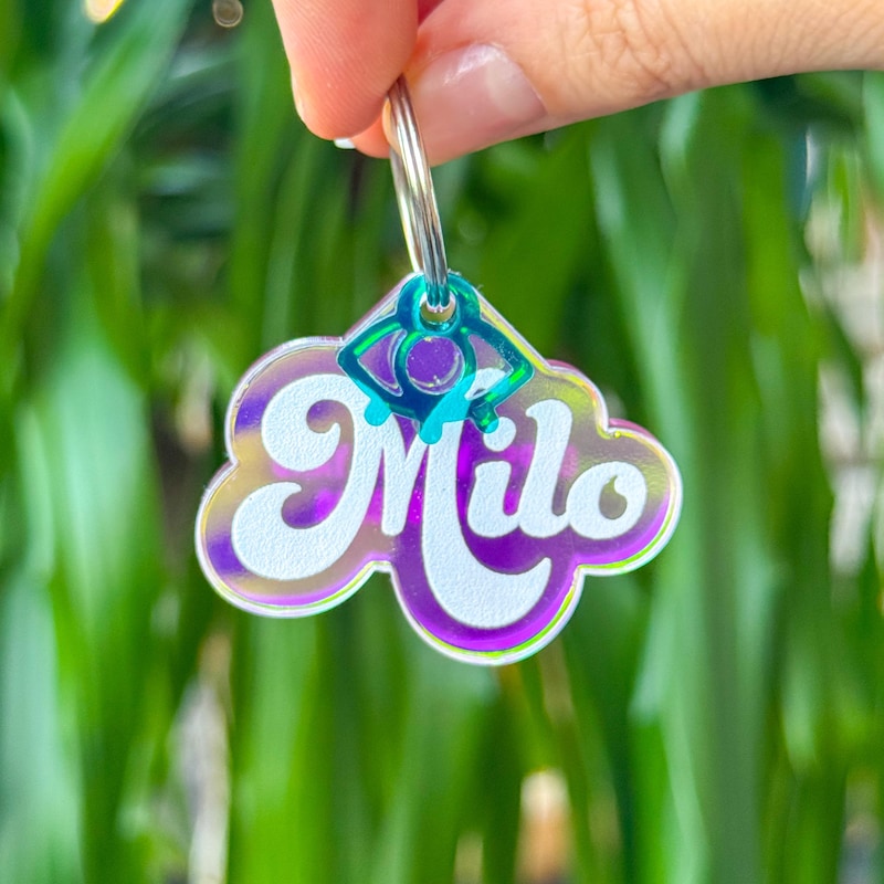 Iridescent Dog Id - Etsy