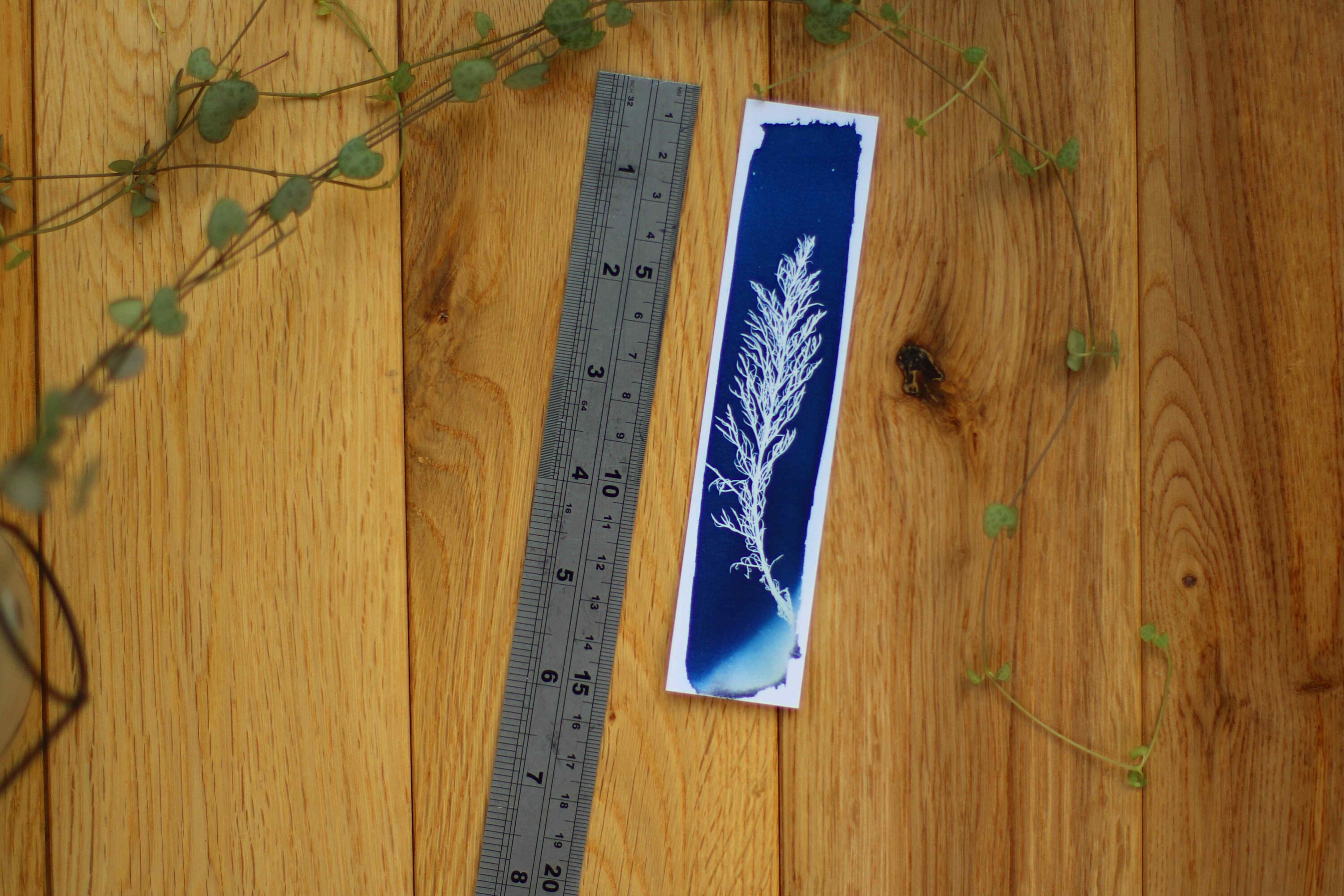 Blue Cyanotype Bookmark | Original Artwork | Approx 14-18cm - Etsy