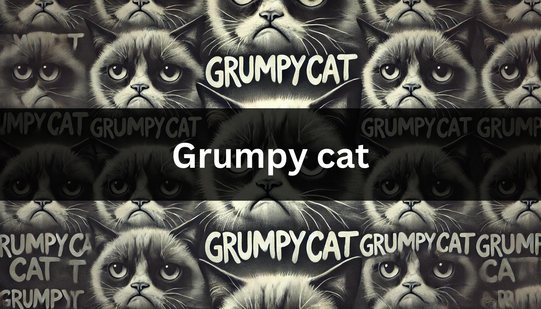 Set of 10 Zoom Backgrounds With Popular Memes | Digital Video Call ...