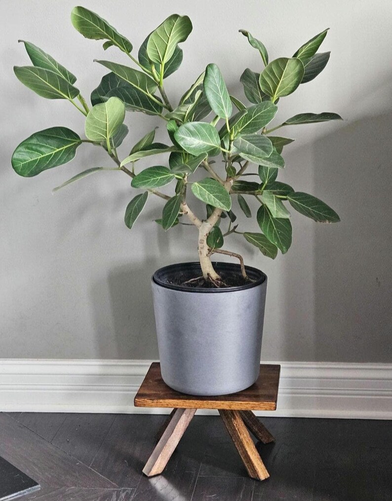 Handmade Wood Plant Stand | Stool | Platform for Flowerpots | Planters ...