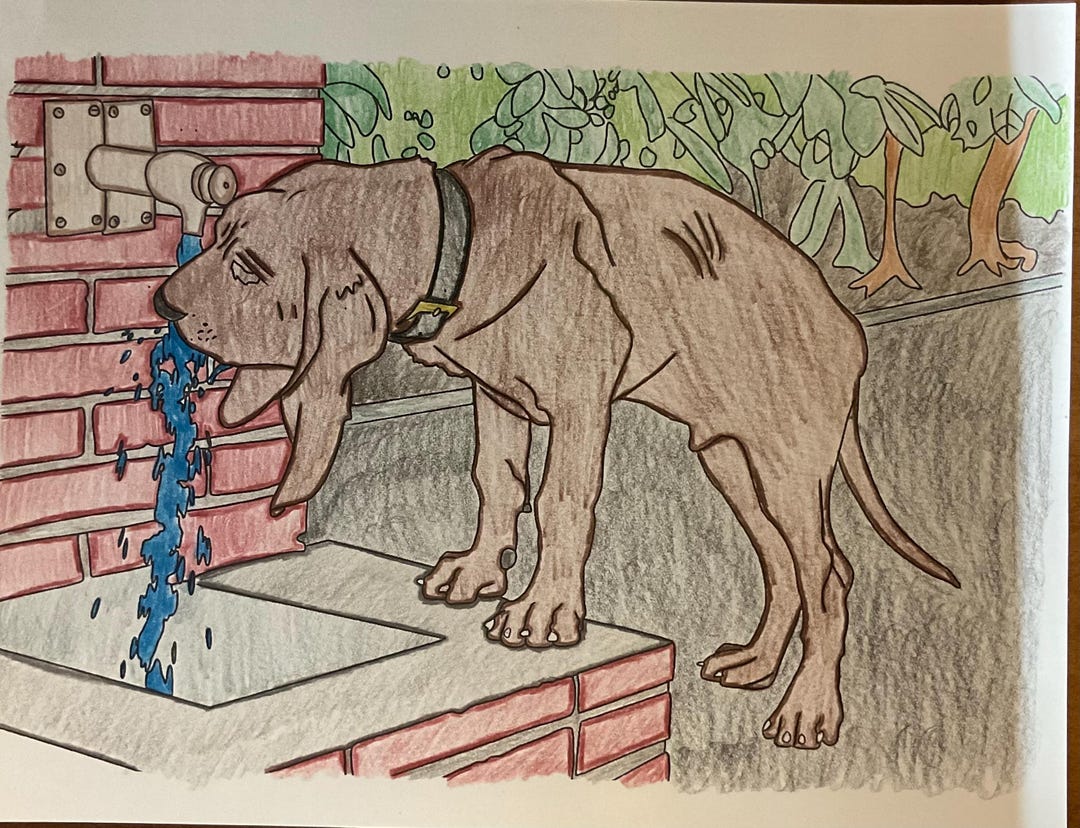 Dog Doogles Coloring Book 1 - Etsy