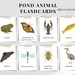 Printable Polar Arctic Animal Flashcards Nature Unit Study Montessori ...
