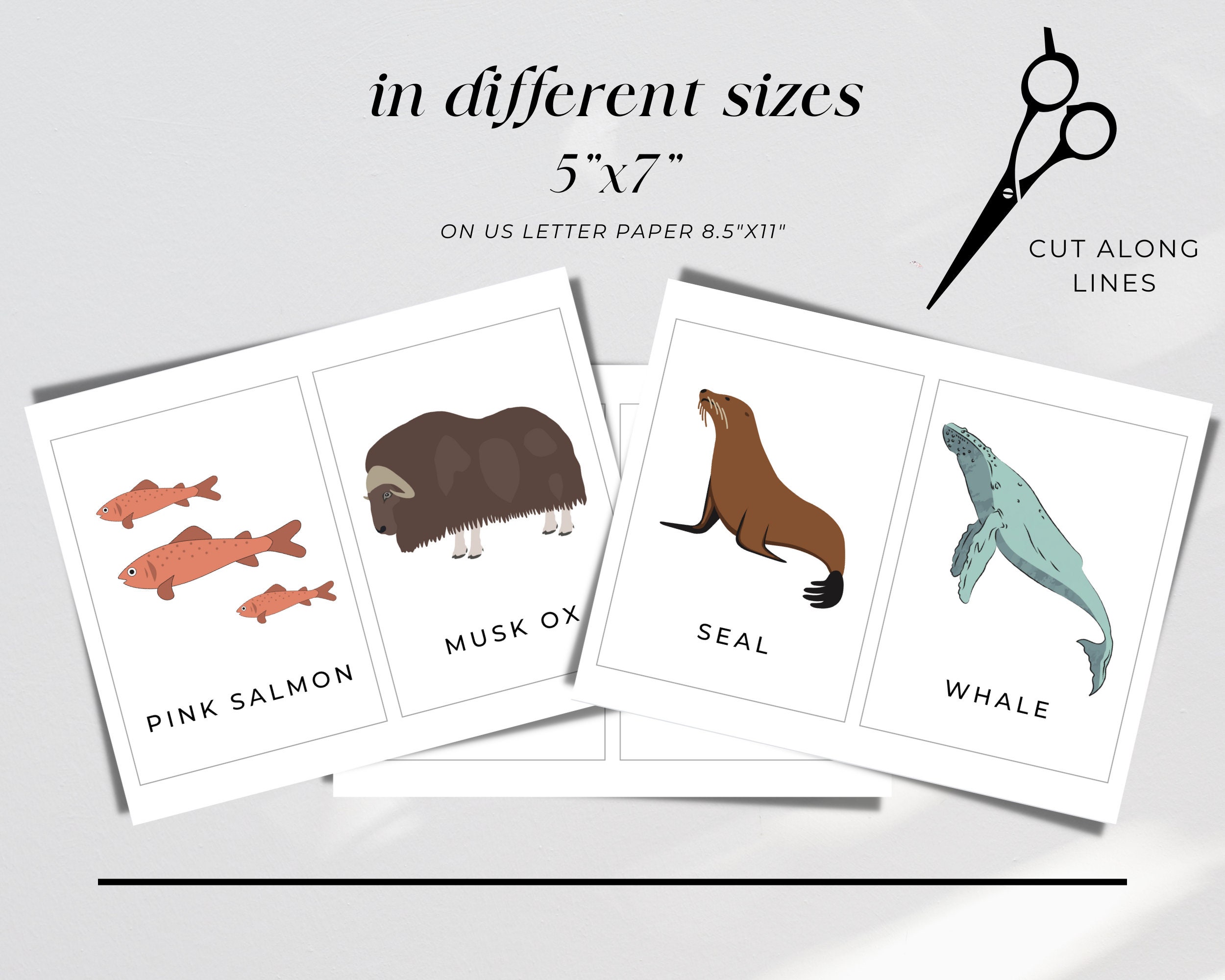 Printable Polar Arctic Animal Flashcards Nature Unit Study Montessori ...