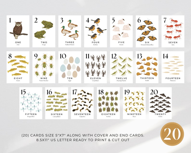 Printable Nature Number Cards, Spring Forest Unit Study, Montessori ...