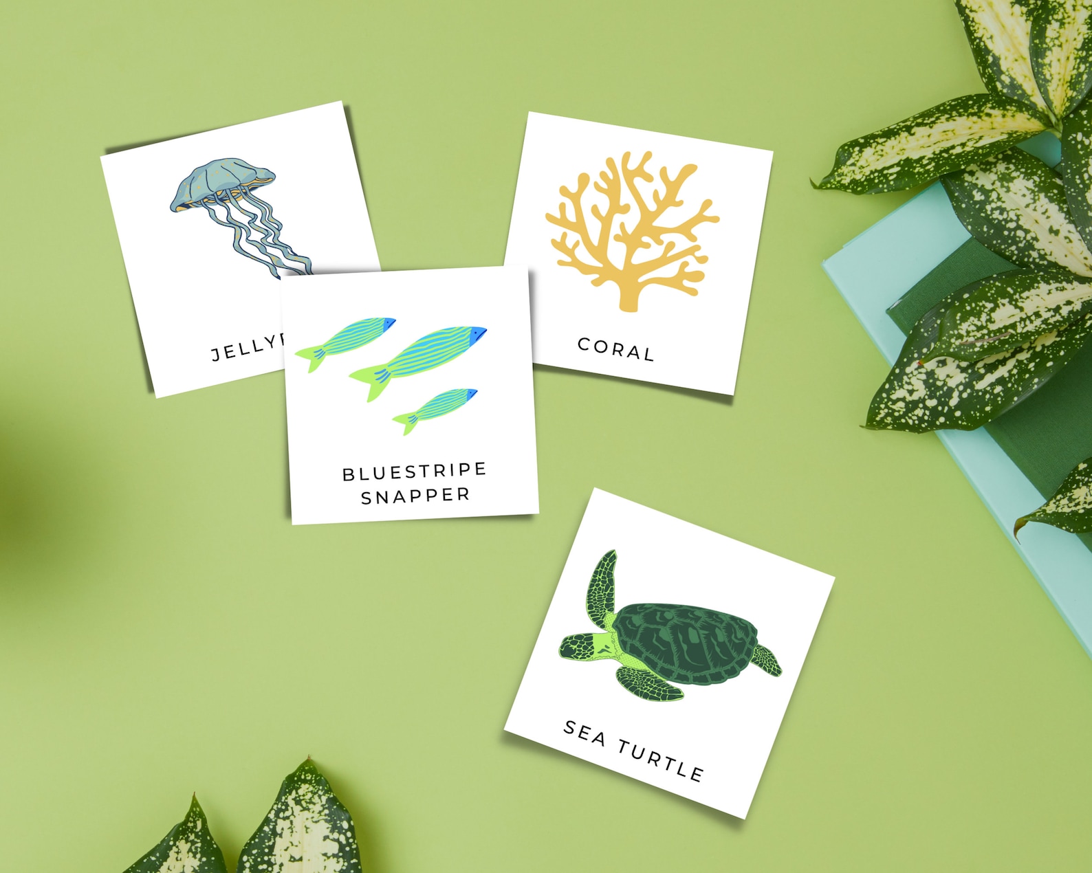 18 Under the Sea Flashcards Ocean Printable Back to School - Etsy