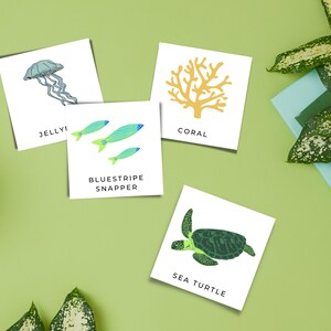 18 Under the Sea Flashcards Ocean Printable Back to School - Etsy