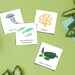 18 Under the Sea Flashcards Ocean Printable Back to School - Etsy