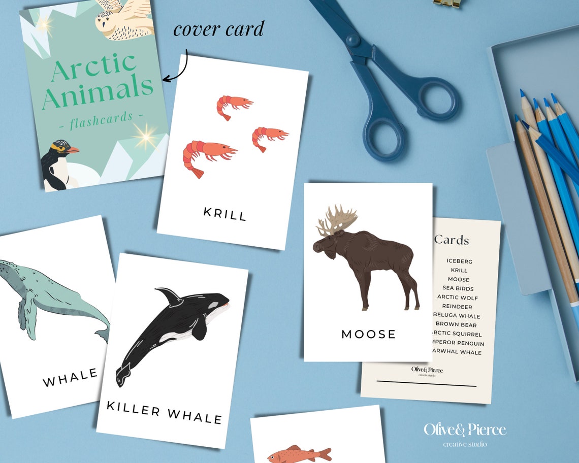 Printable Polar Arctic Animal Flashcards Nature Unit Study Montessori ...