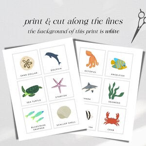 18 Under the Sea Flashcards Ocean Printable Back to School Animal ...