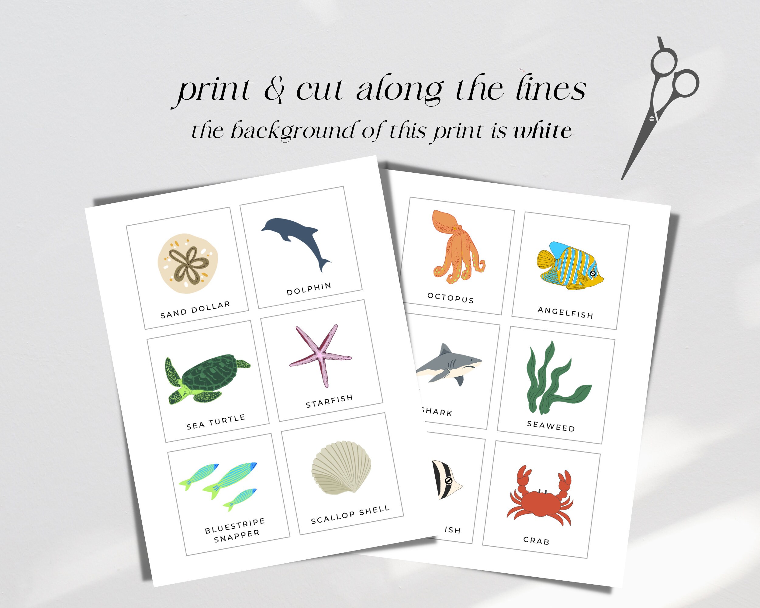 18 Under the Sea Flashcards Ocean Printable Back to School - Etsy