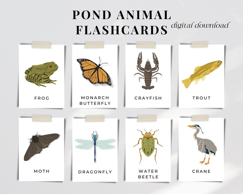 Printable Forest Animal Flashcards, Pond Spring Nature Unit Study ...