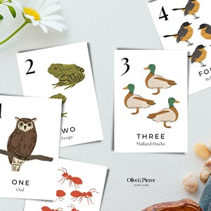 Printable Nature Number Cards, Spring Forest Unit Study, Montessori ...