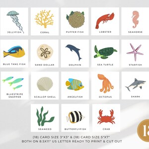18 Under the Sea Flashcards Ocean Printable Back to School - Etsy