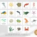 18 Under the Sea Flashcards Ocean Printable Back to School Animal ...