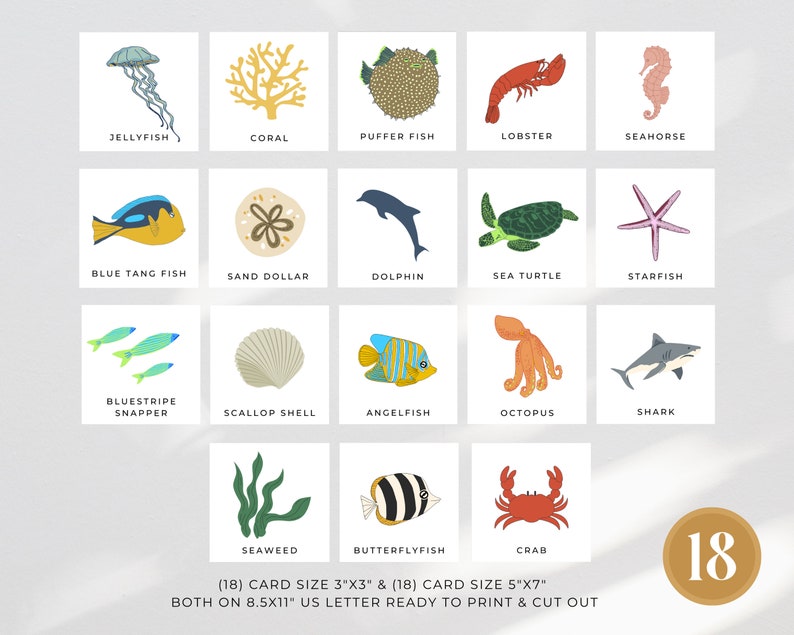 18 Under the Sea Flashcards Ocean Printable Back to School - Etsy