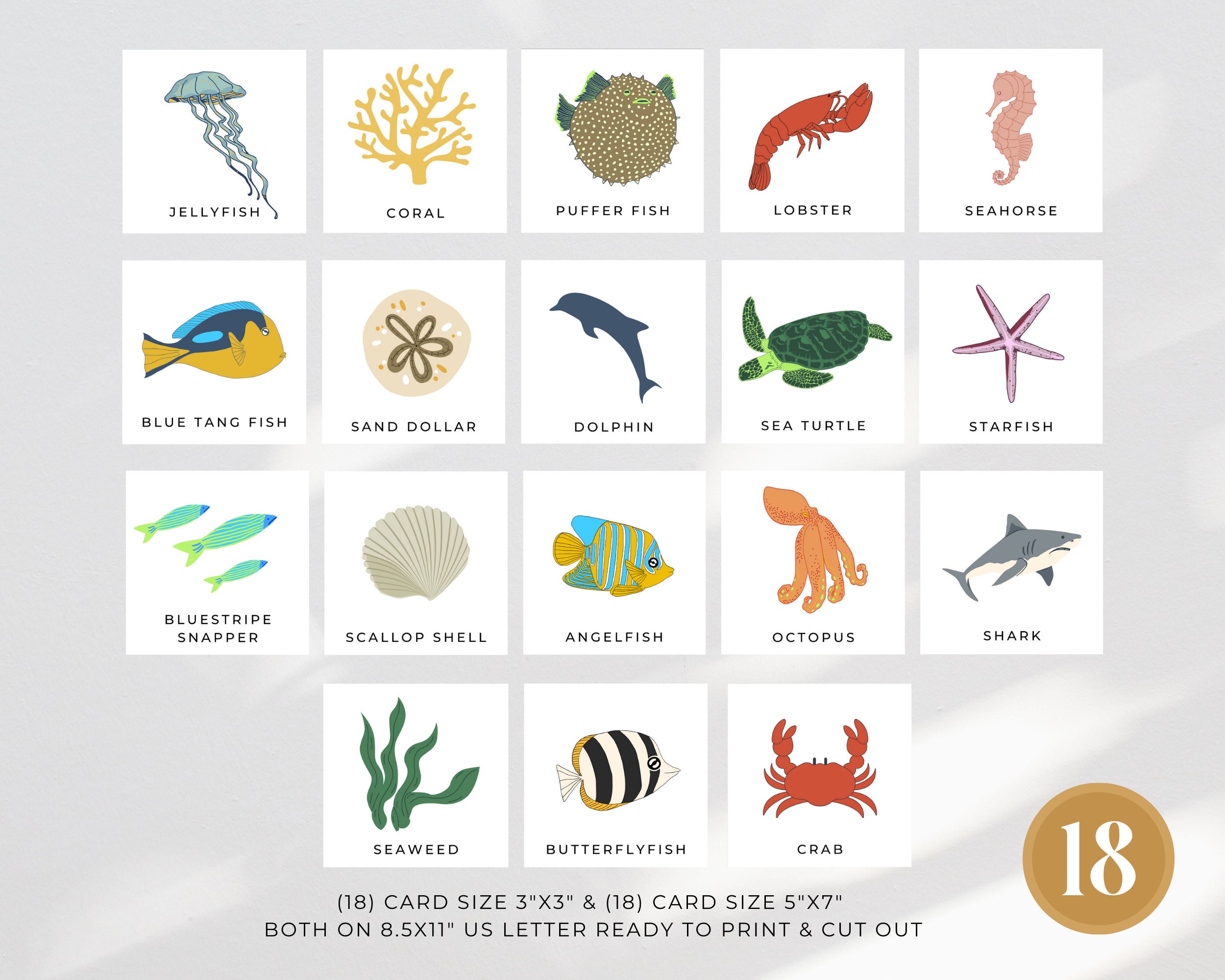 18 Under the Sea Flashcards Ocean Printable Back to School - Etsy