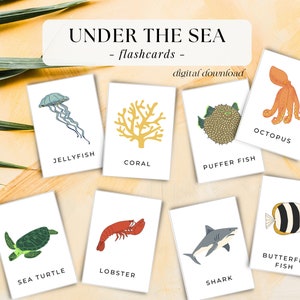 18 Under the Sea Flashcards Ocean Printable Back to School Animal ...